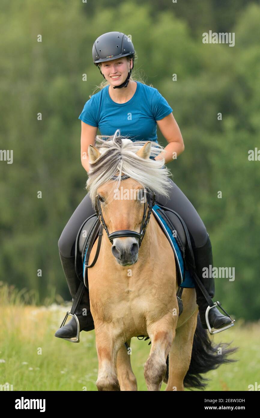 Dun rider riding canter cantering hi-res stock photography and images ...