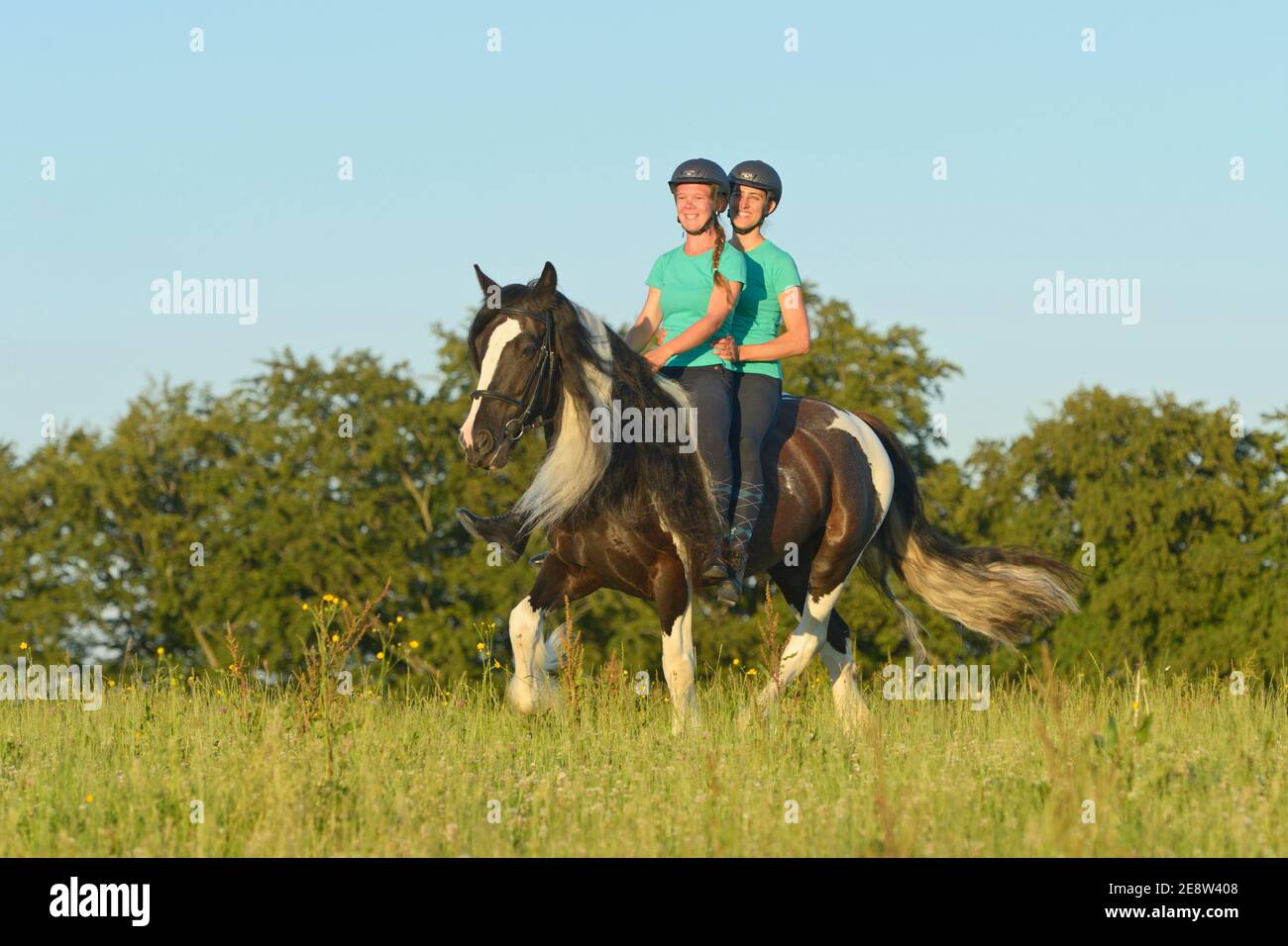 Two girls riding together on an Irish Cob horse Stock Photo - Alamy
