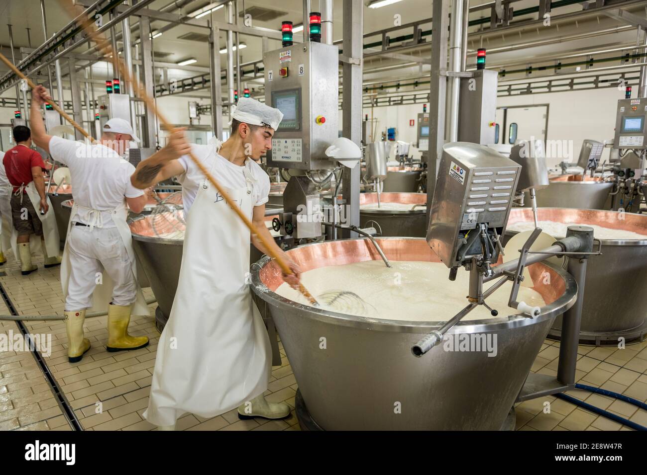 A man stirring milk in a copper lined vat making parmigiano reggiano of ...