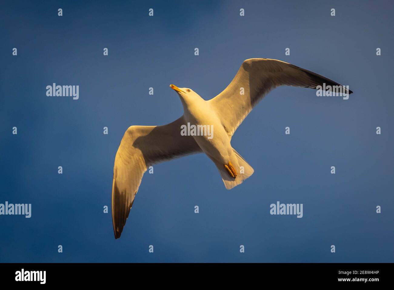 Glyfada seaside view hi-res stock photography and images - Alamy