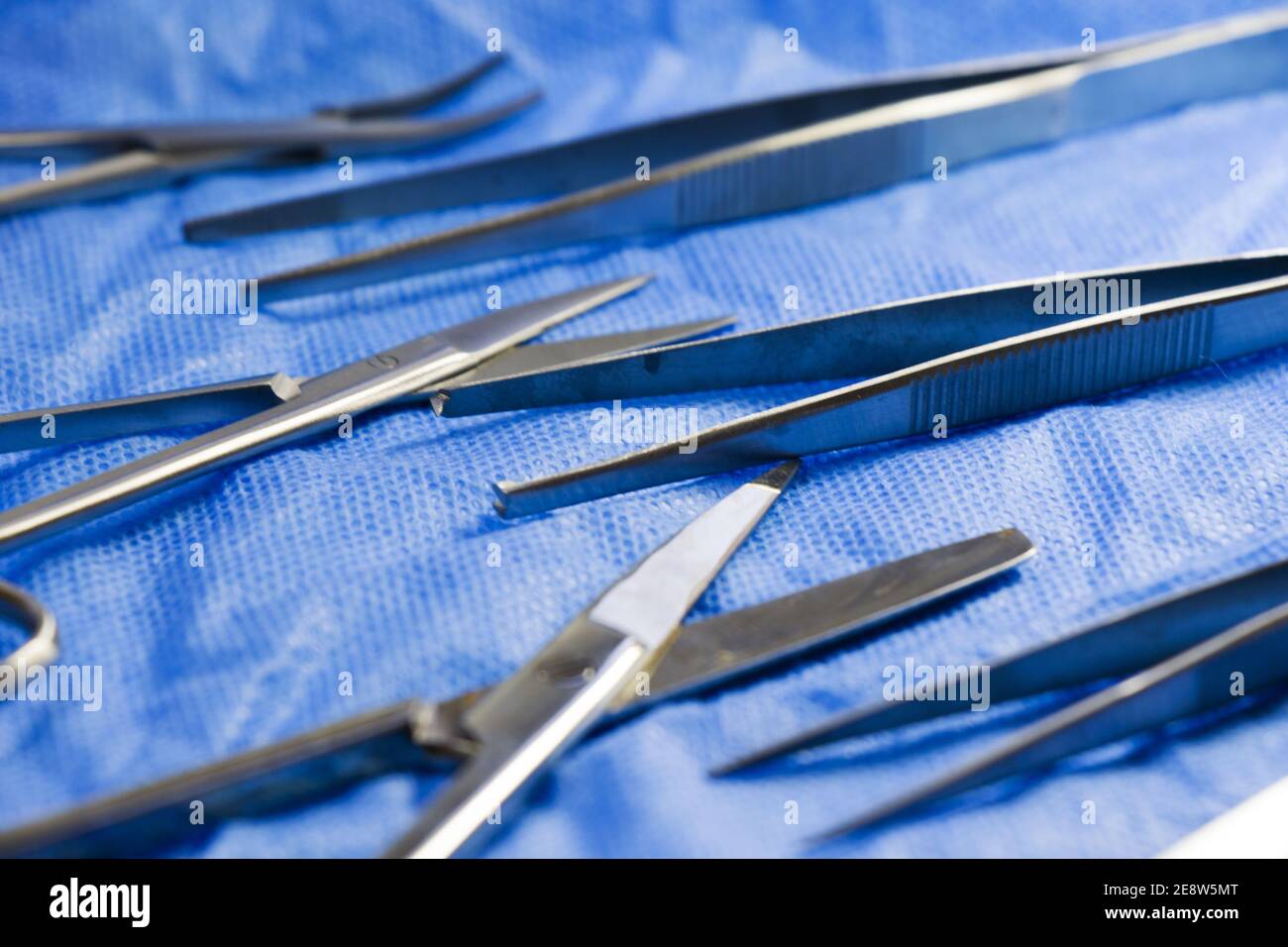Science dissection kit hi-res stock photography and images - Alamy