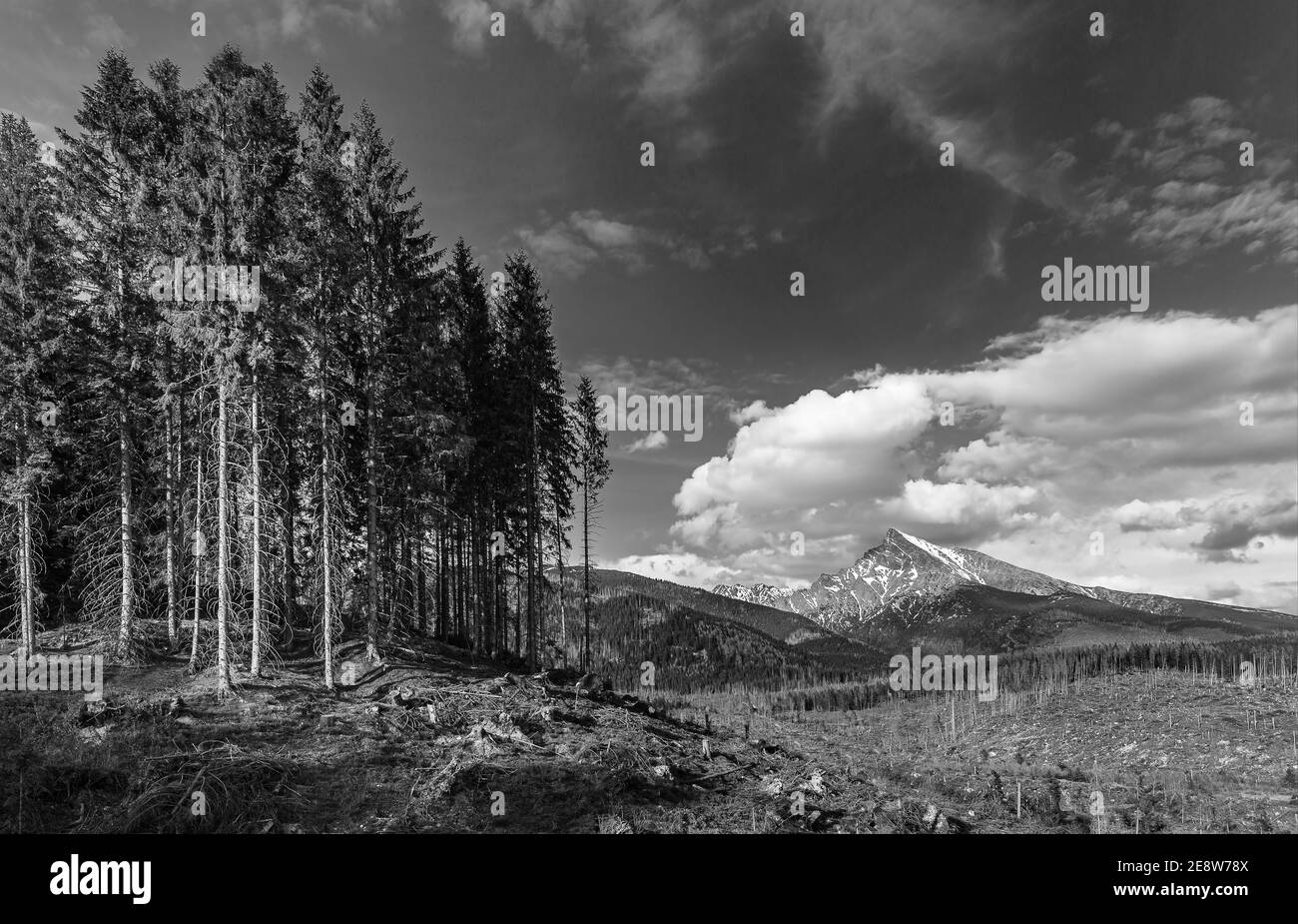 Krivan peak (2494m), symbol of Slovakia in High Tatras mountains ...