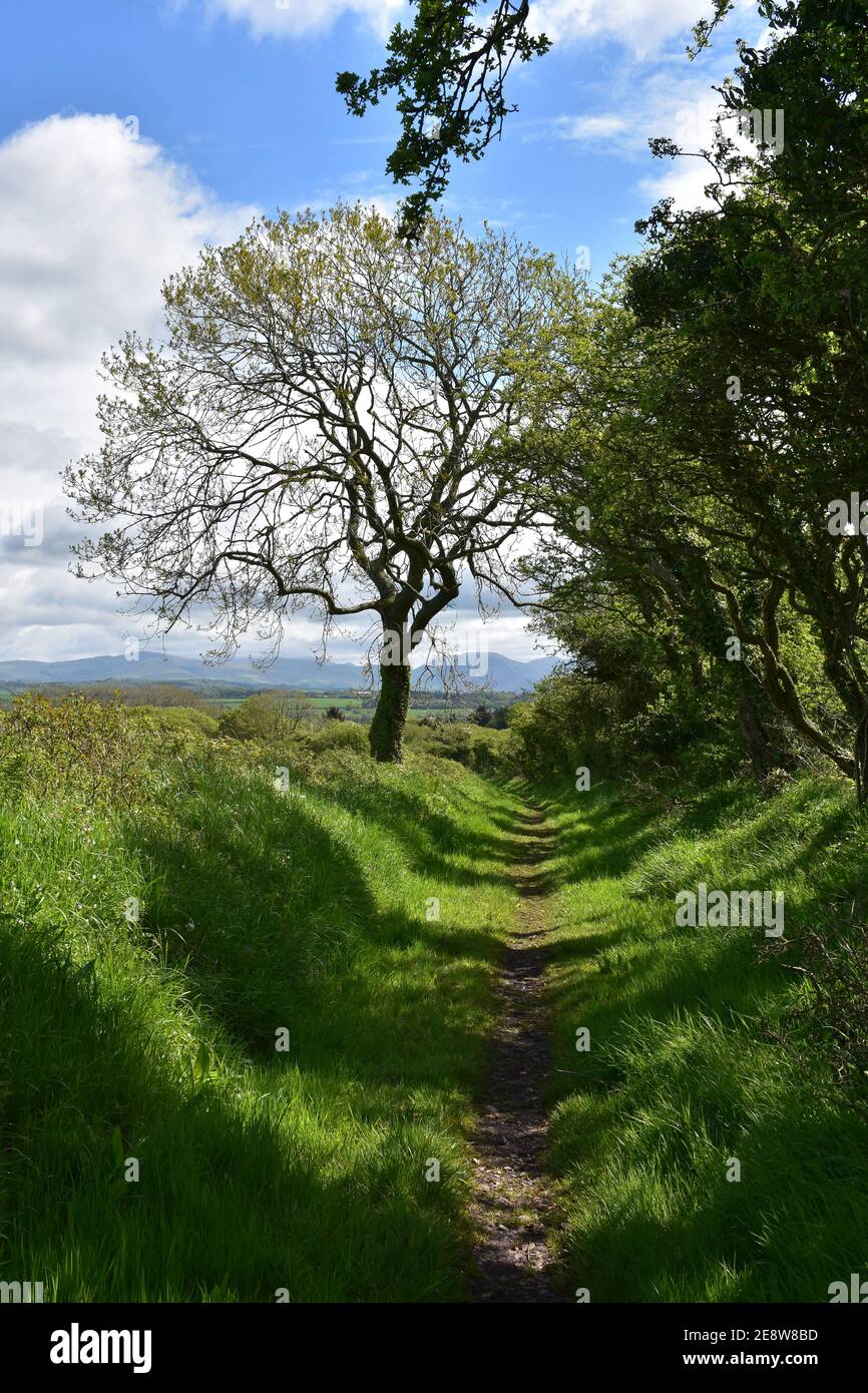 Dirt foot path that winds through the English countryside Stock Photo ...