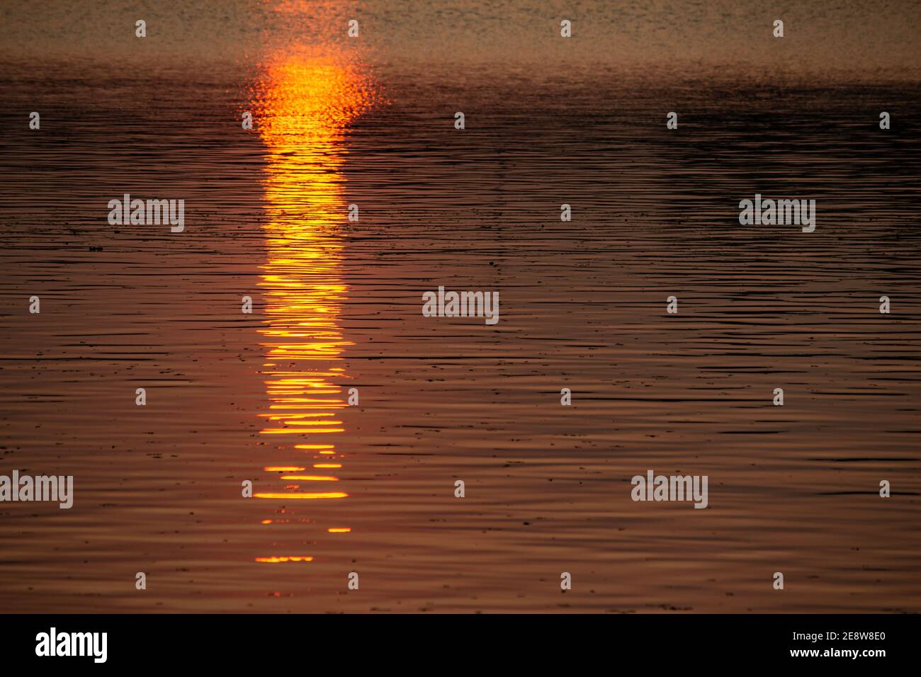 Scenic view of the sunset reflection in a lake, Bangalore, Karnataka ...