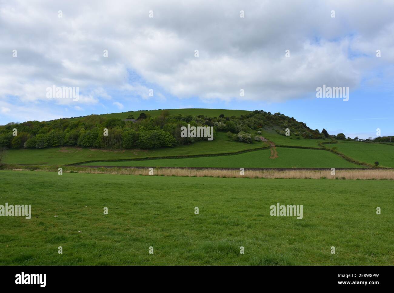 Stunning landscape and grass fields with rolling hills Stock Photo - Alamy