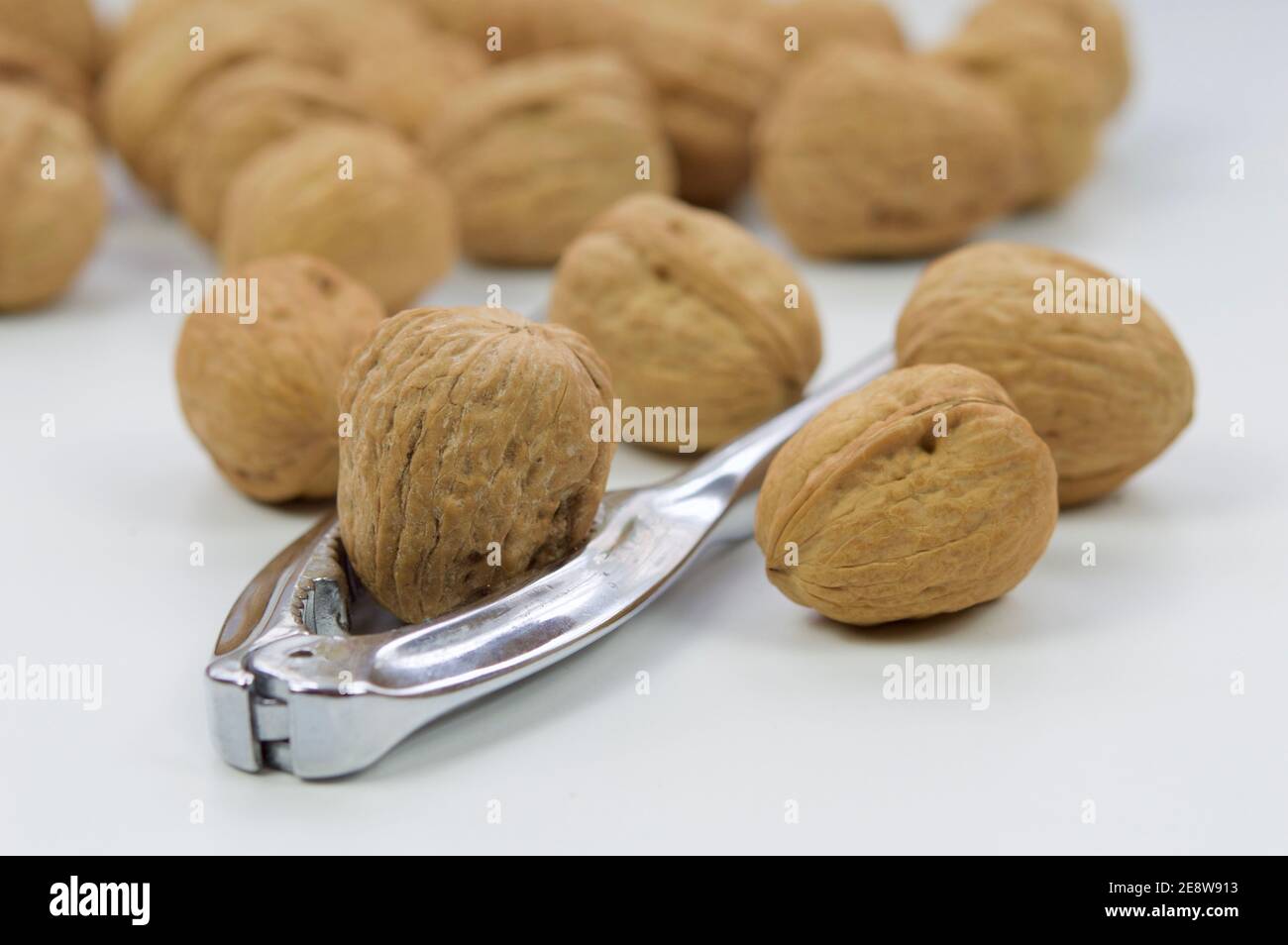 Group of walnuts and nutcracker on white background Stock Photo - Alamy