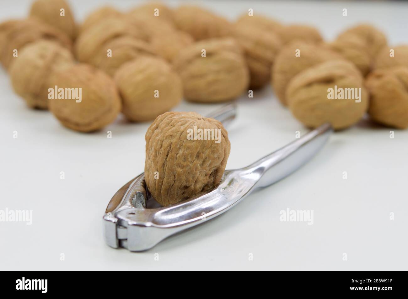 Group of walnuts and nutcracker on white background Stock Photo - Alamy