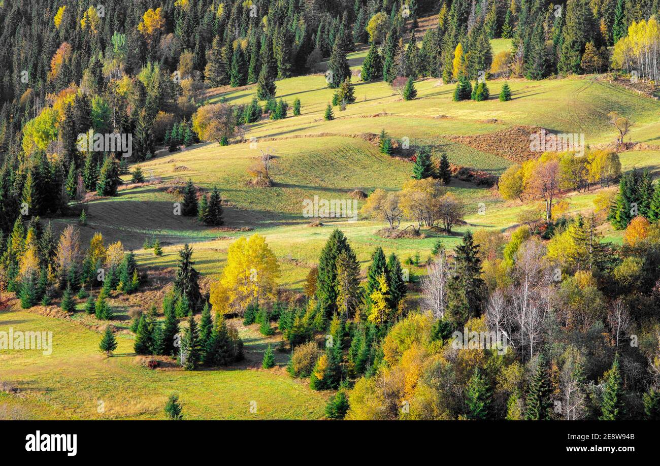 vesoke tatry, high tatras, slovakia, adventure, agriculture, agronomy ...
