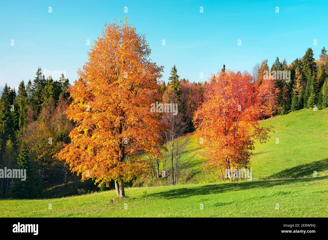 vesoke tatry, high tatras, slovakia, adventure, agriculture, agronomy ...