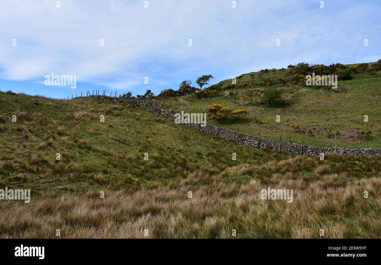 Beautiful rolling hills and fields in Northern England Stock Photo - Alamy