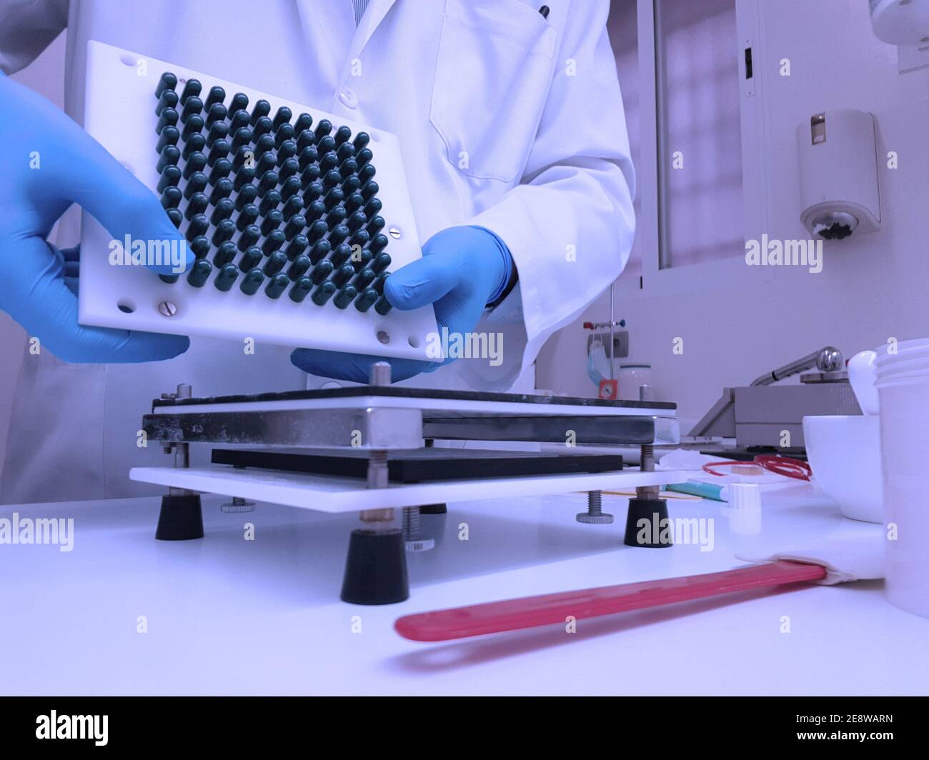 Pharmacist preparing capsules in a laboratory Stock Photo - Alamy