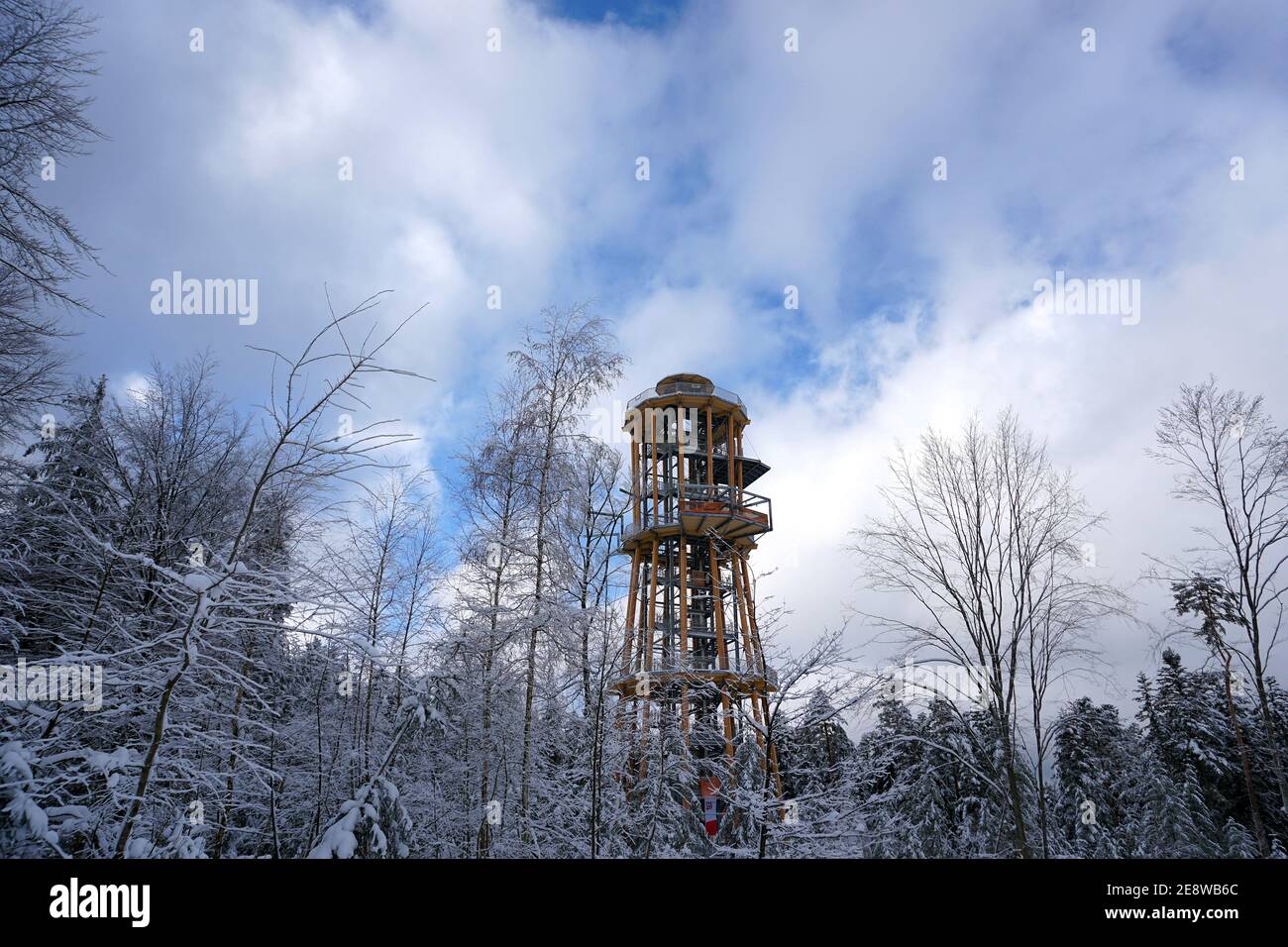 Wooden lookout tower in the forest Stock Photo - Alamy