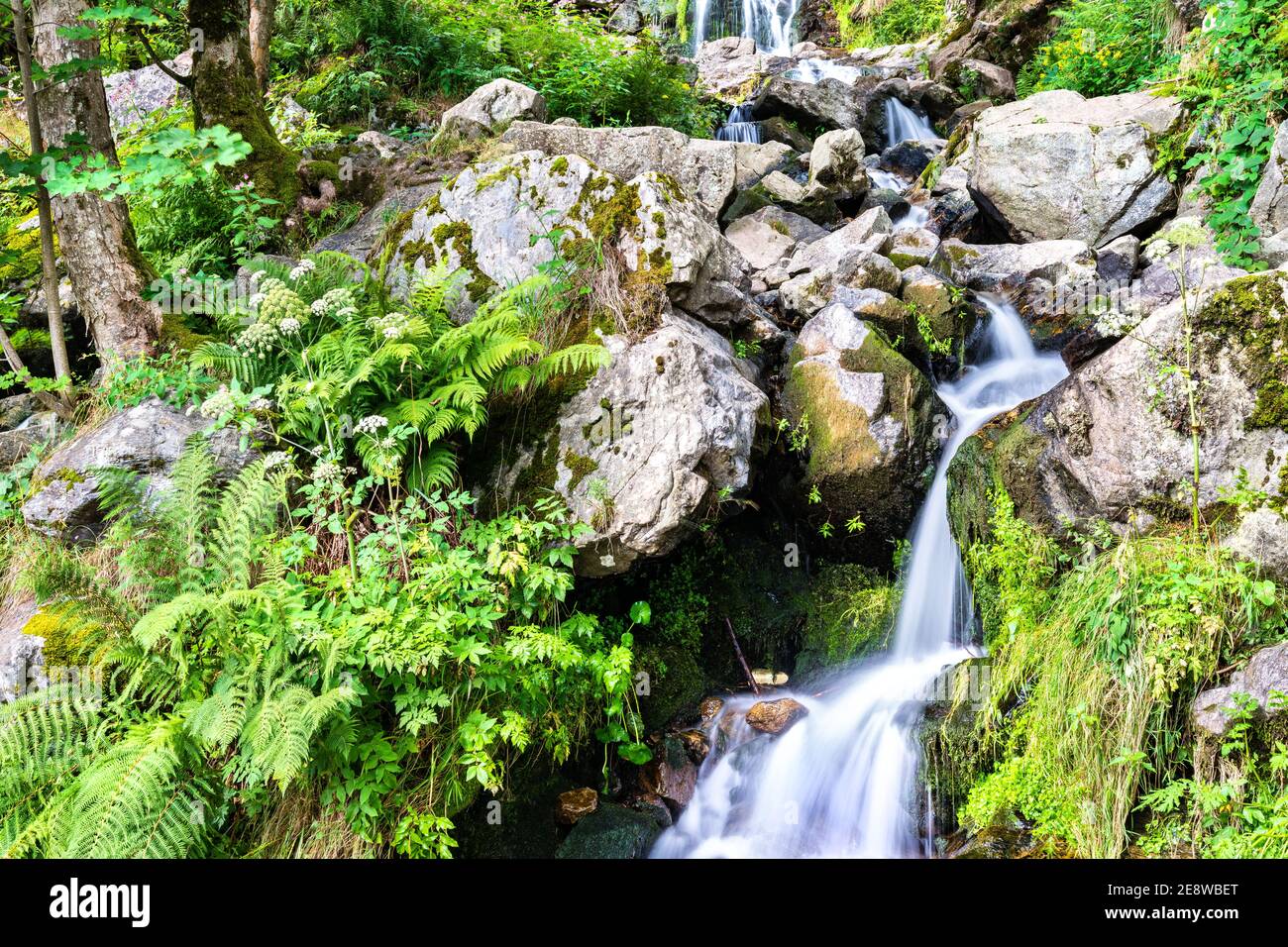Todtnau Waterfall in the Black Forest Mountains, Germany Stock Photo ...