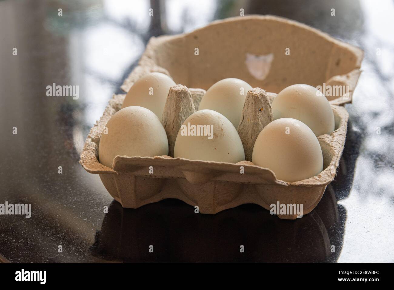 Box of six eggs Stock Photo - Alamy