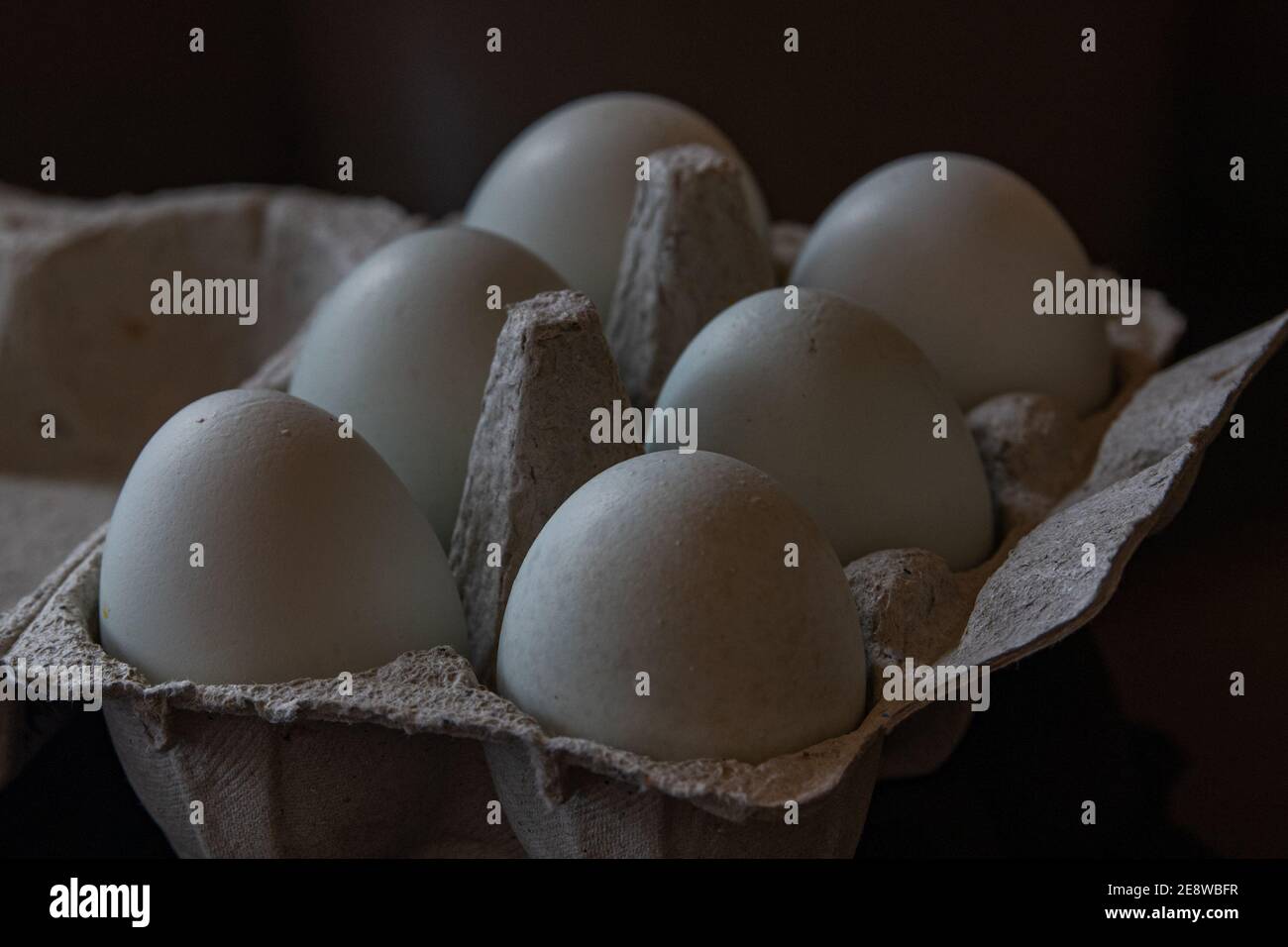 Fram eggs hi-res stock photography and images - Alamy