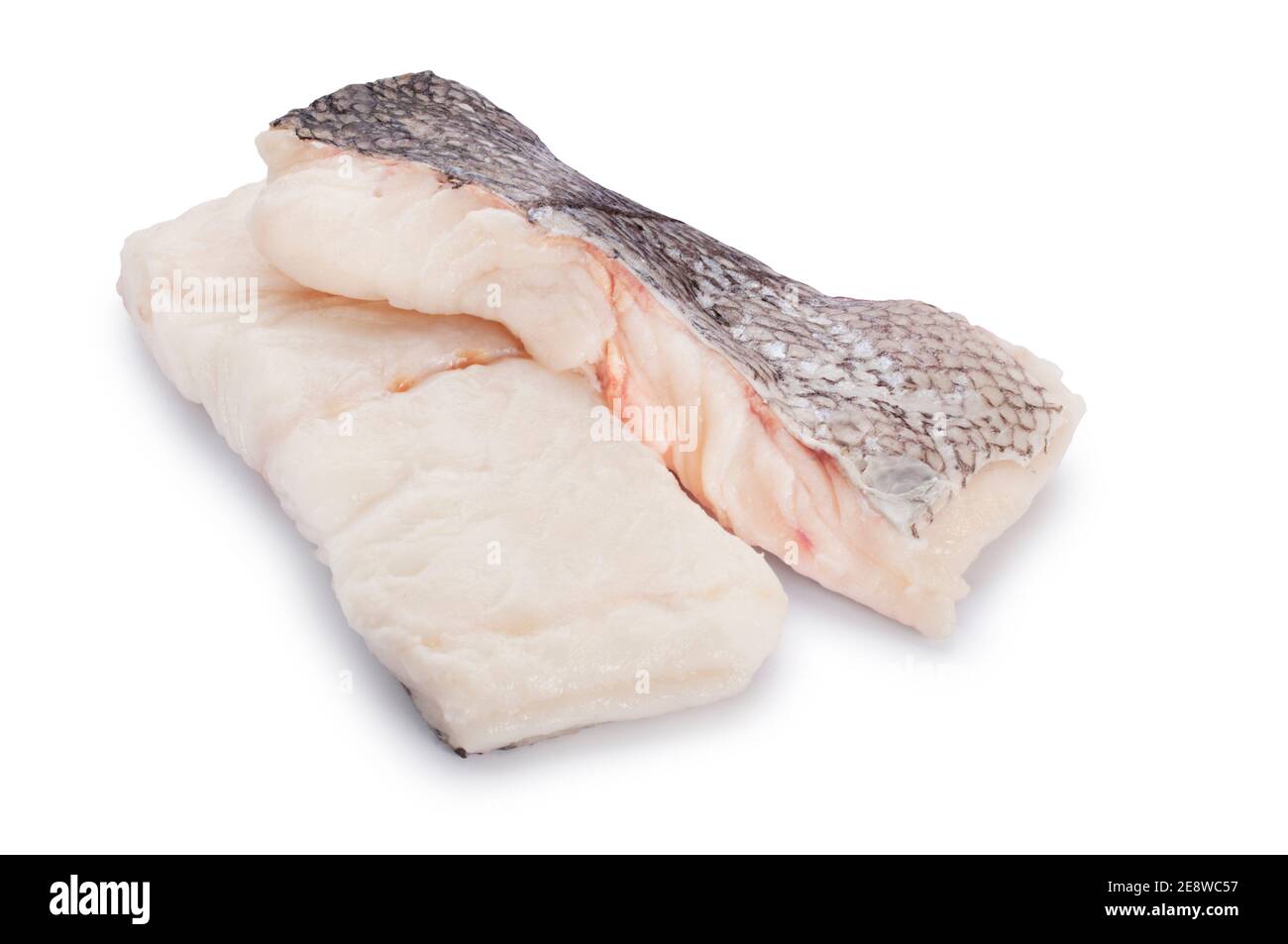 Isolated fish against white background hi-res stock photography and ...