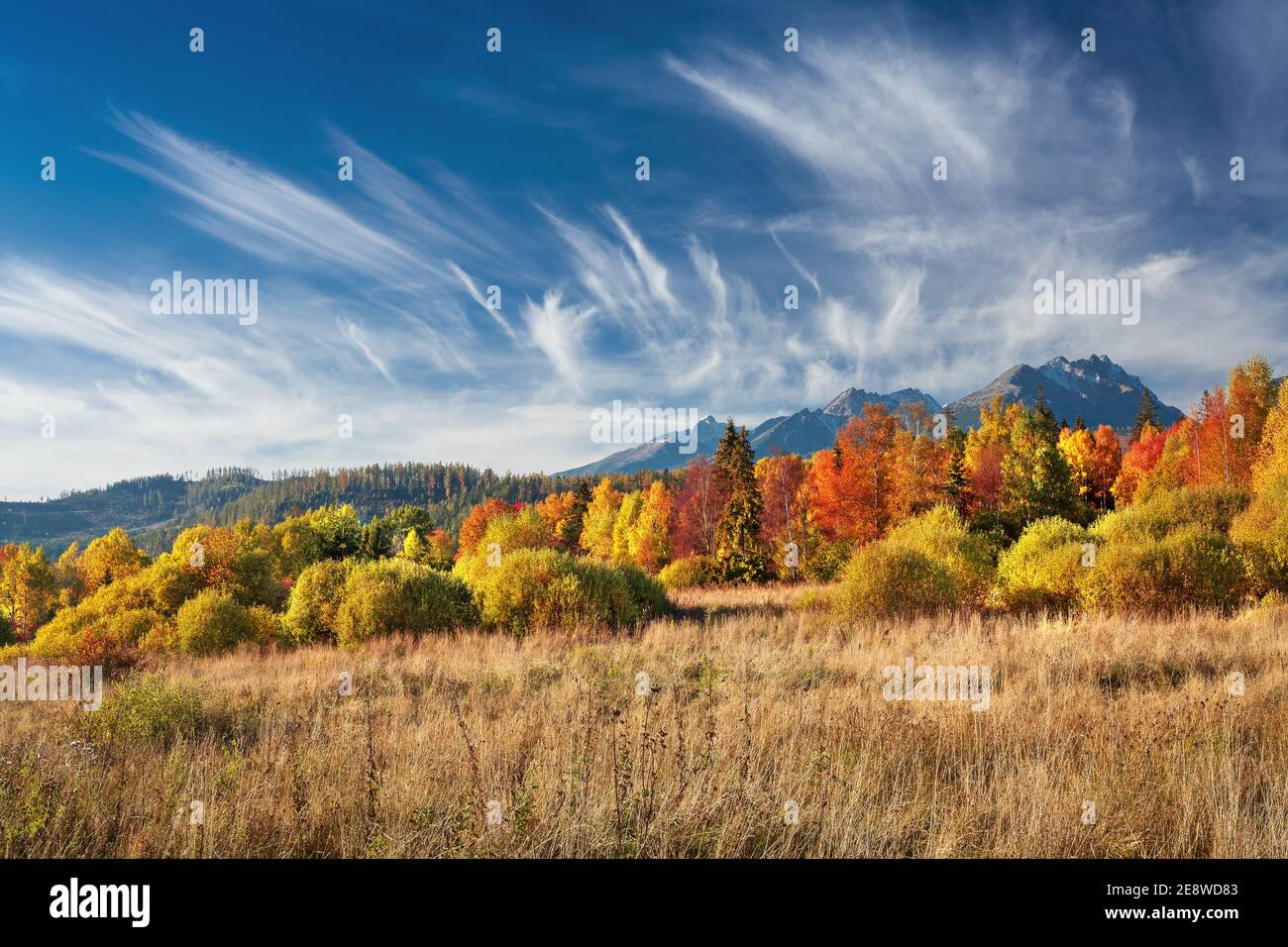 vesoke tatry, high tatras, slovakia, adventure, agriculture, agronomy ...