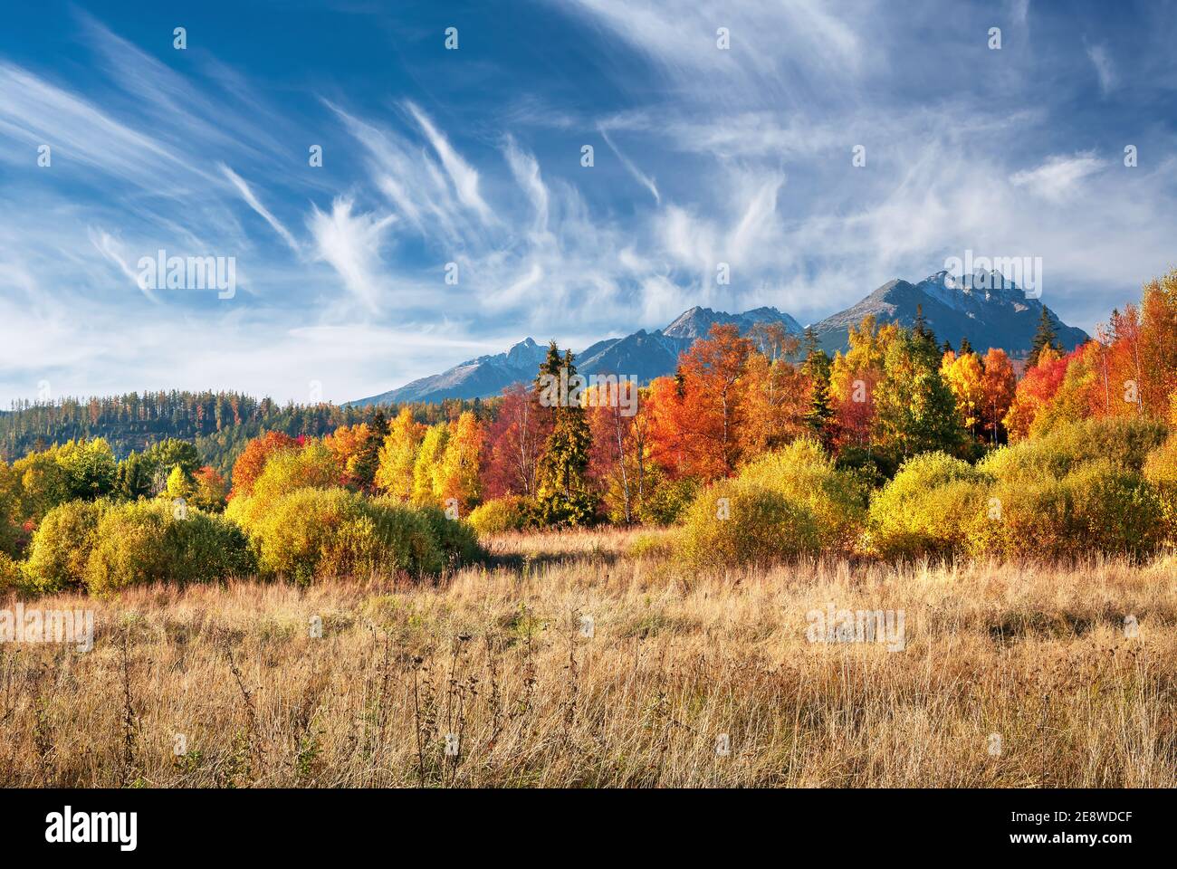 vesoke tatry, high tatras, slovakia, adventure, agriculture, agronomy ...