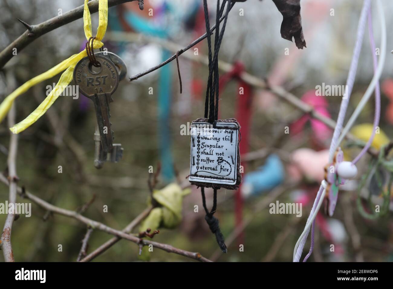 Prayer tributes known as Clooties hung on rag tree at St Brigid's holy ...