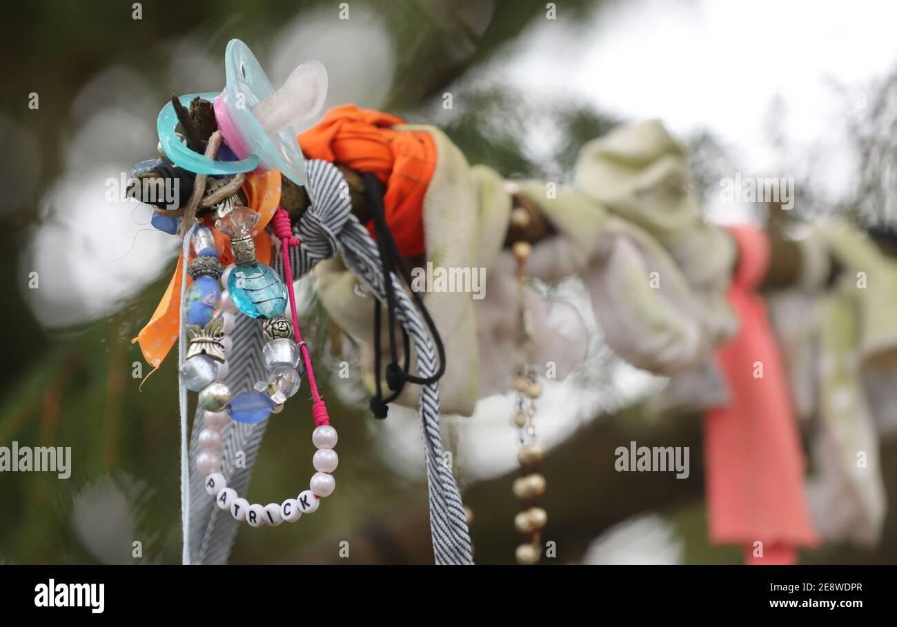 Prayer tributes known as Clooties hung on rag tree at St Brigid's holy ...