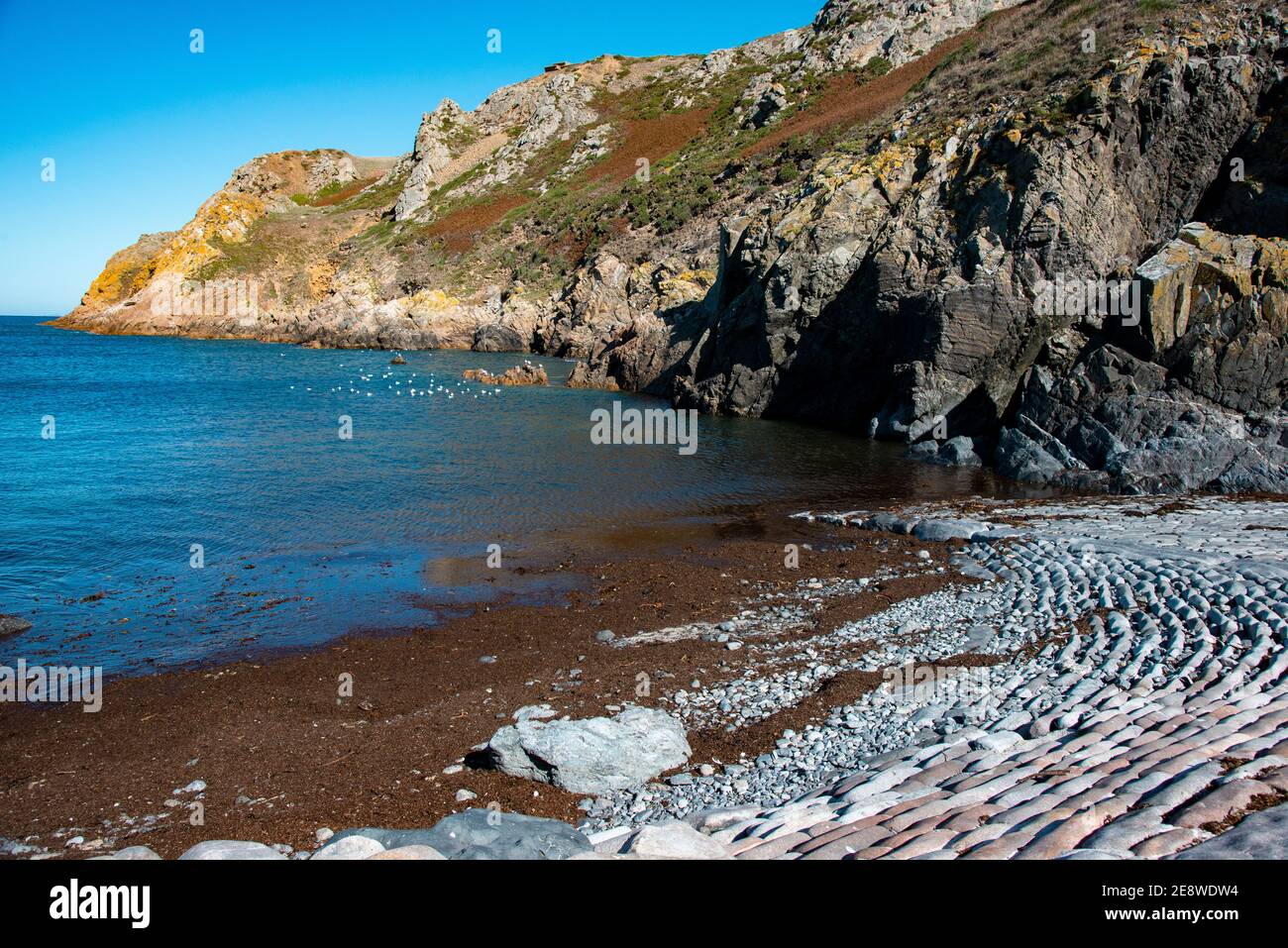 Stinky bay hi-res stock photography and images - Alamy