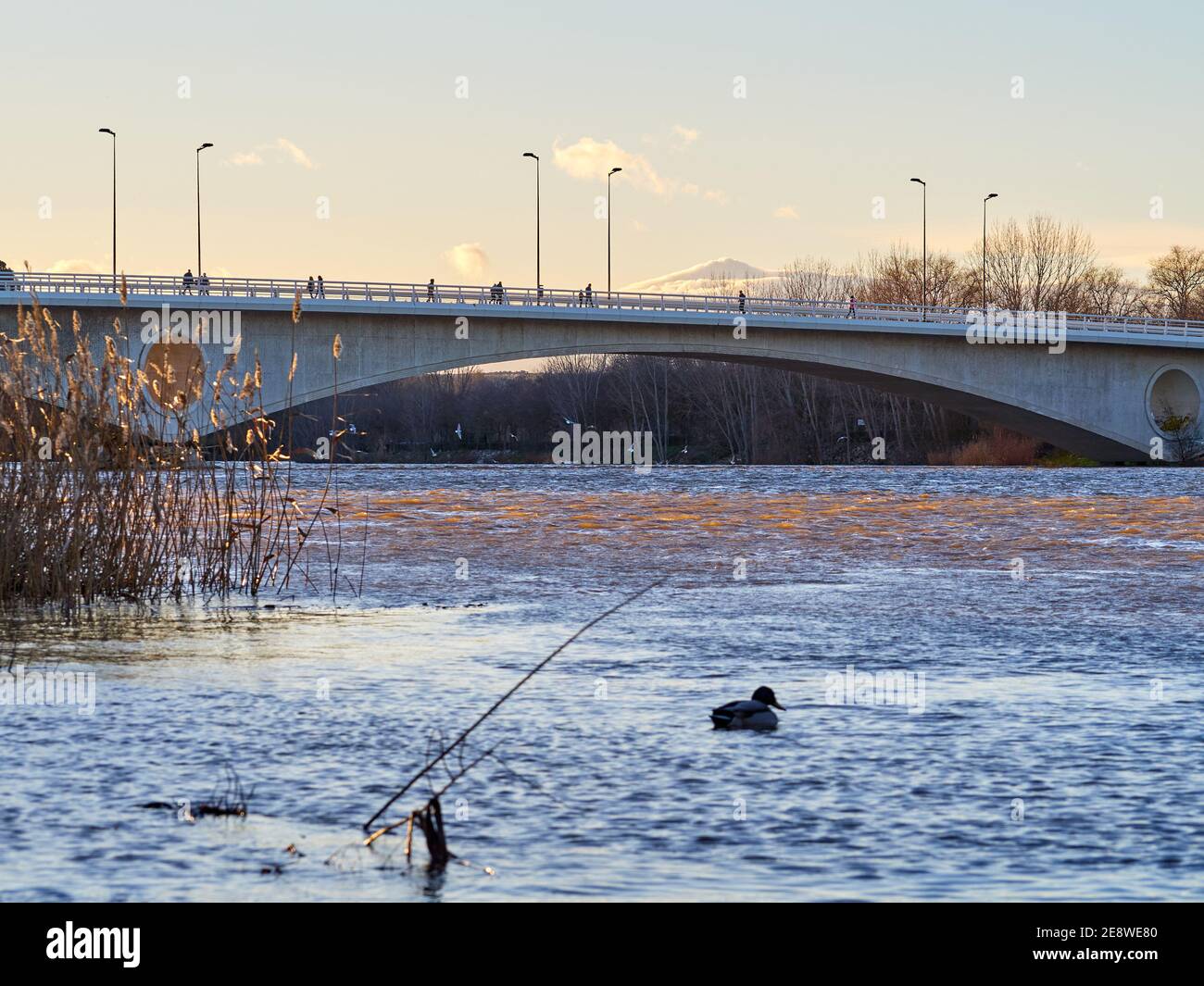 Bridge of the poets of Zamora at dusk horizontal view Stock Photo - Alamy