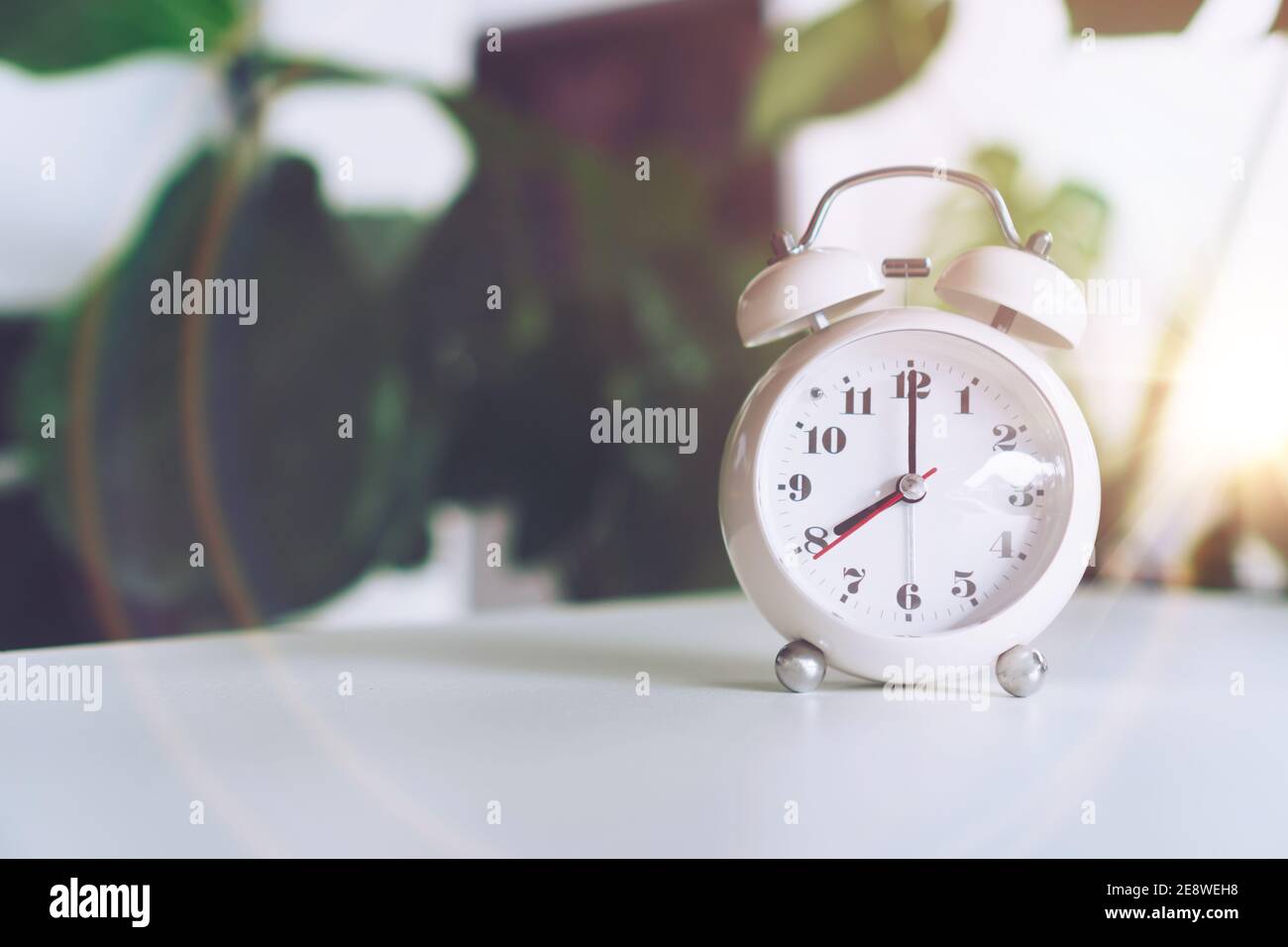 Selective focus of alarm clock show 8 o'clock or 8 a.m. on table with ...
