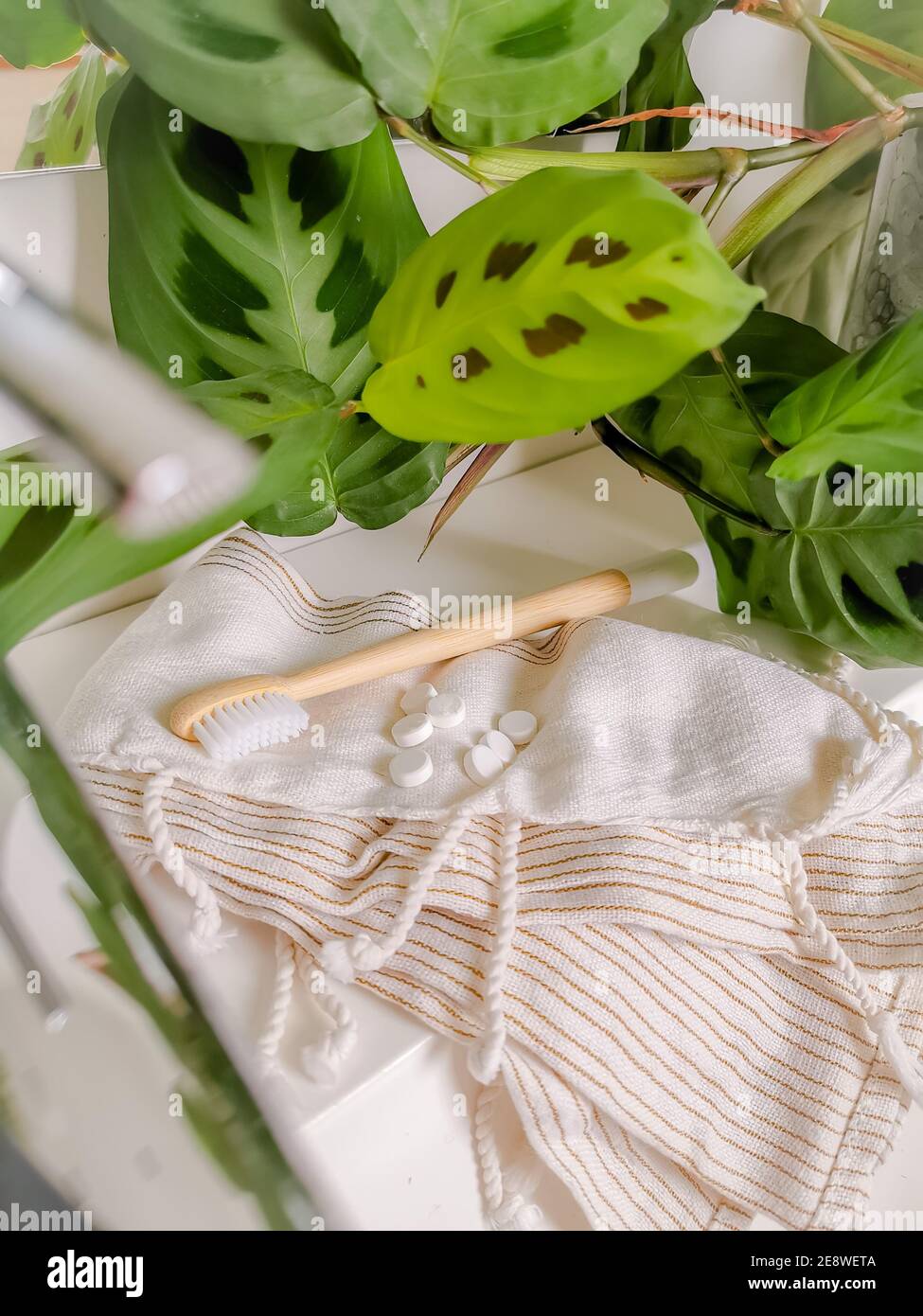 Dental care eco friendly hi-res stock photography and images - Alamy