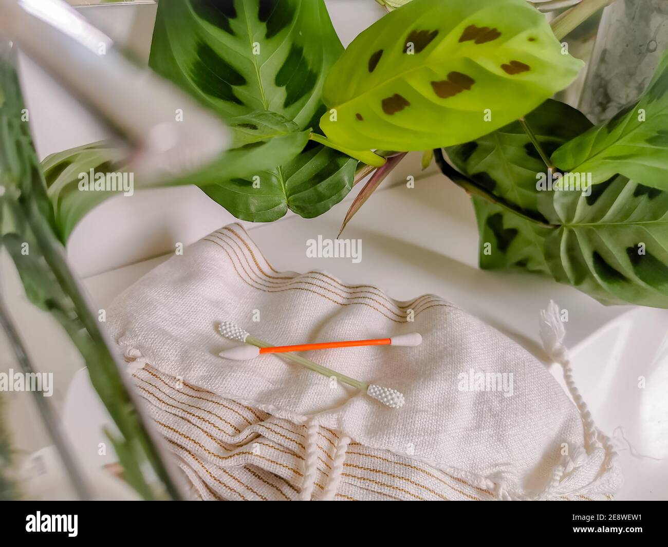 Reusable silicone ear swabs on a bathroom counter. SIngle-use plastic ...
