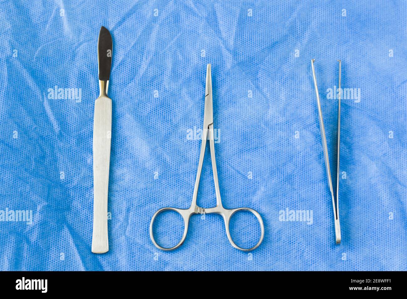 Science dissection kit hi-res stock photography and images - Alamy