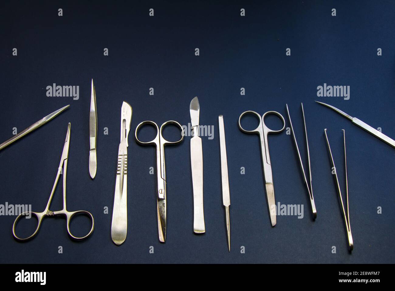 Science dissection kit hi-res stock photography and images - Alamy