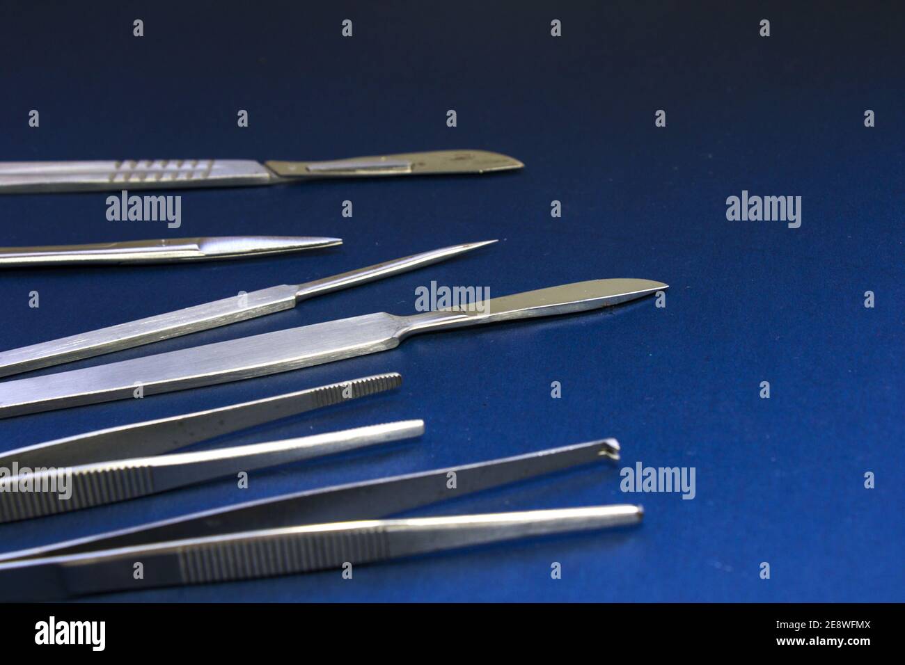 Science dissection kit hi-res stock photography and images - Alamy