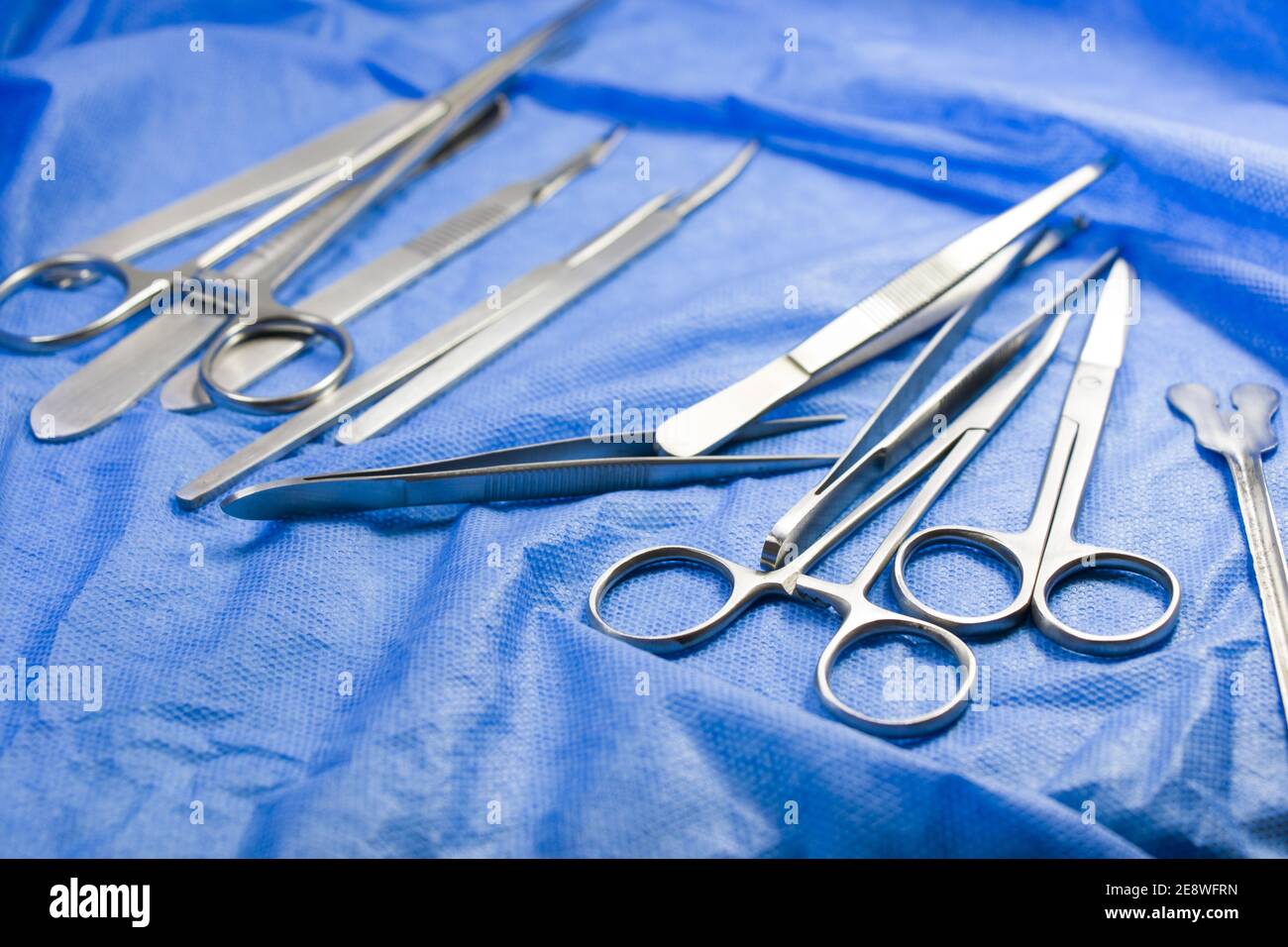 Top view of a dissection kit on a blue fabric surface Stock Photo - Alamy