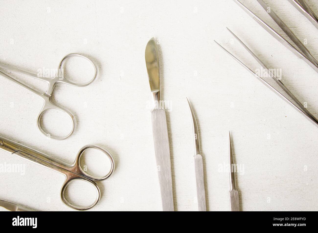 Top view of a medical dissection kit on a white surface Stock Photo - Alamy