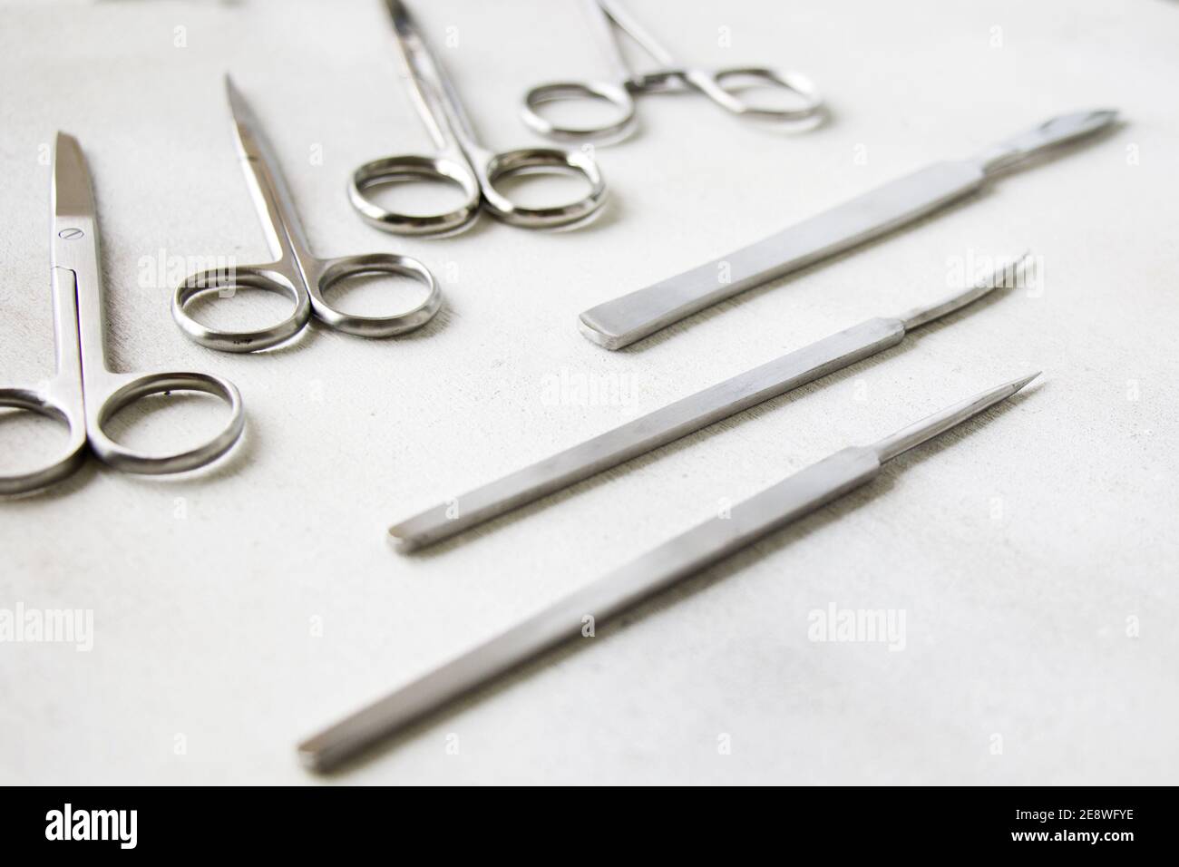 Science dissection kit hi-res stock photography and images - Alamy