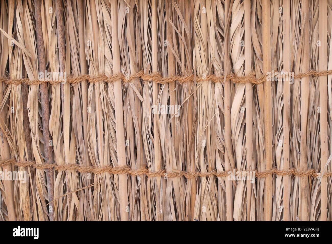 Outside wall made of palm fronds, Bani Jamra weaving textiles factory ...