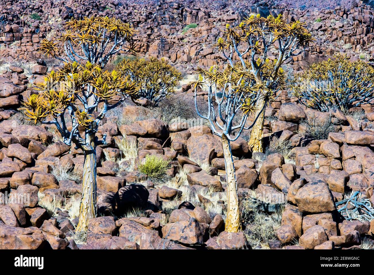 Unique places of namibia hi-res stock photography and images - Alamy