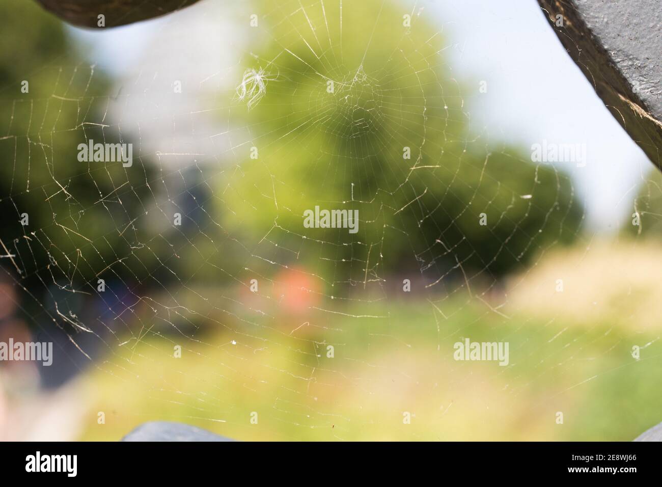 The Spider Web Bridge High Resolution Stock Photography and Images - Alamy
