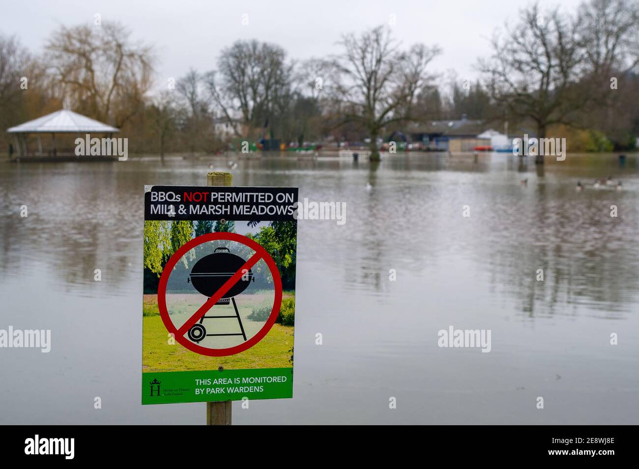 Henley-on-Thames, Oxfordshire, UK. 1st February, 2021. Definitely no ...