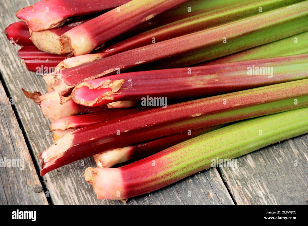 Rhubarb food photo on white background Stock Photo - Alamy