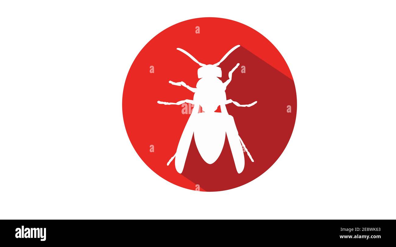 Vector Isolated Rounded Illustration of a Wasp. Wasp Icon Stock Vector Image & Art - Alamy