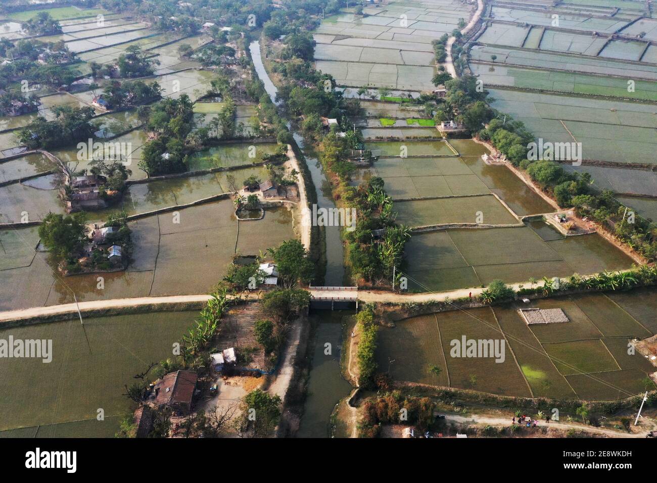 Satkhira, Bangladesh - January 22, 2021: Aerial View of the green paddy ...