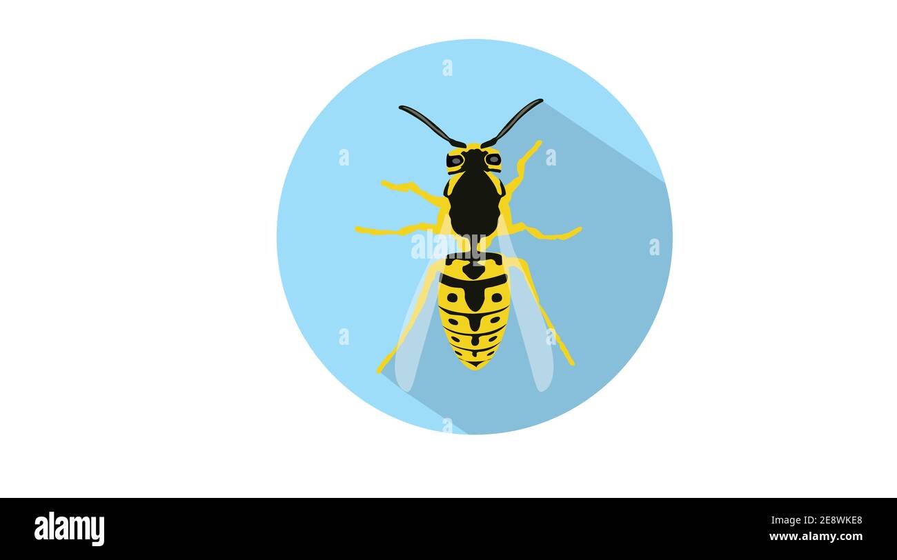 Vector Isolated Rounded Illustration of a Wasp. Wasp Icon Stock Vector ...