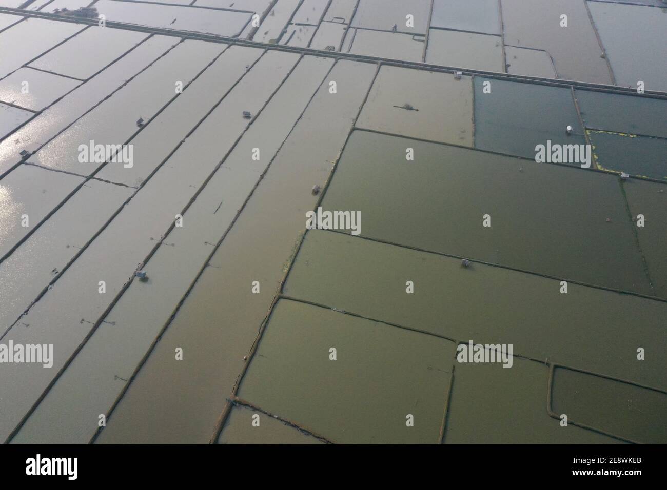 Bangladesh rice population hi-res stock photography and images - Alamy