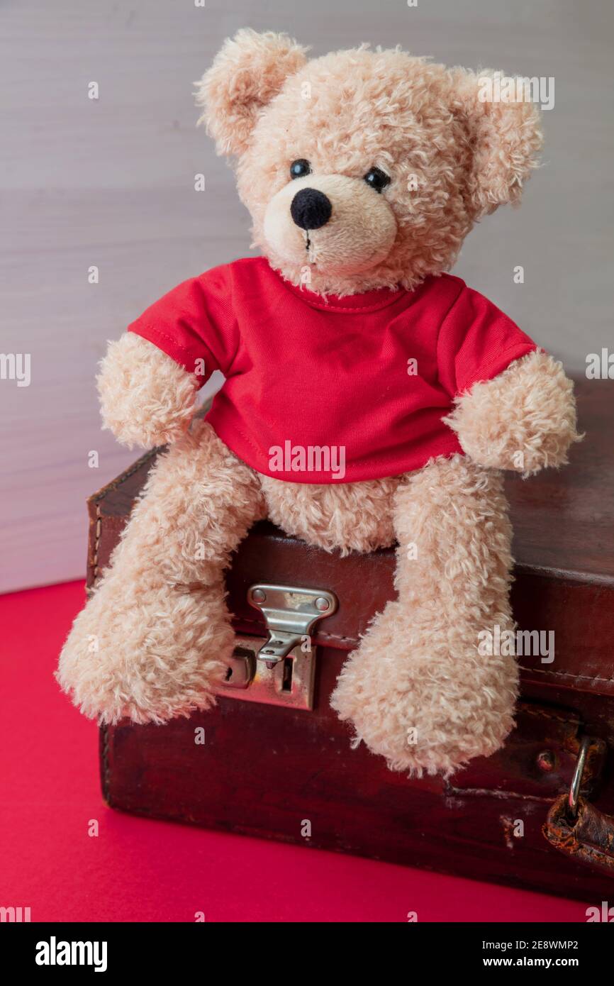 Travel with kids, abandoned child concept. Cute teddy sitting on a ...