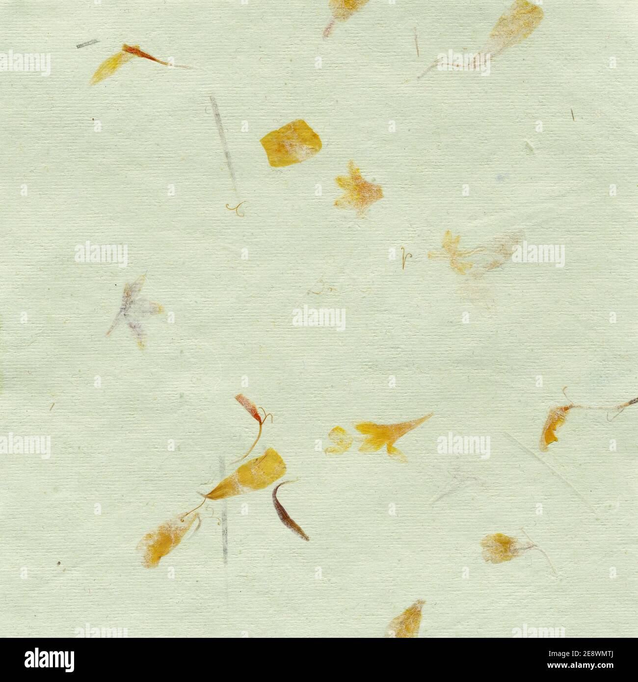 White paper background with dried flower Stock Photo - Alamy