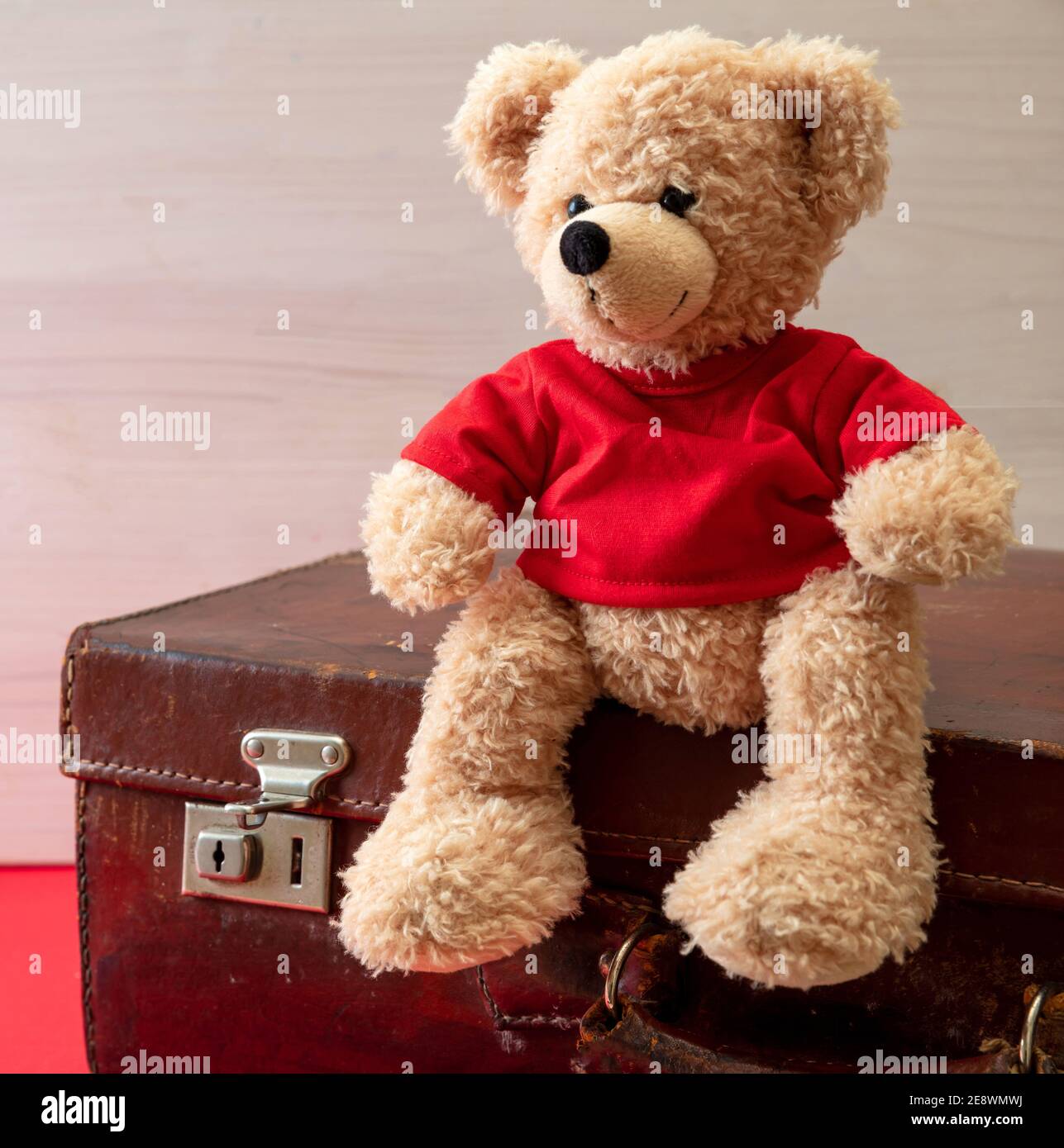 Travel with kids, abandoned child concept. Cute teddy sitting on a ...