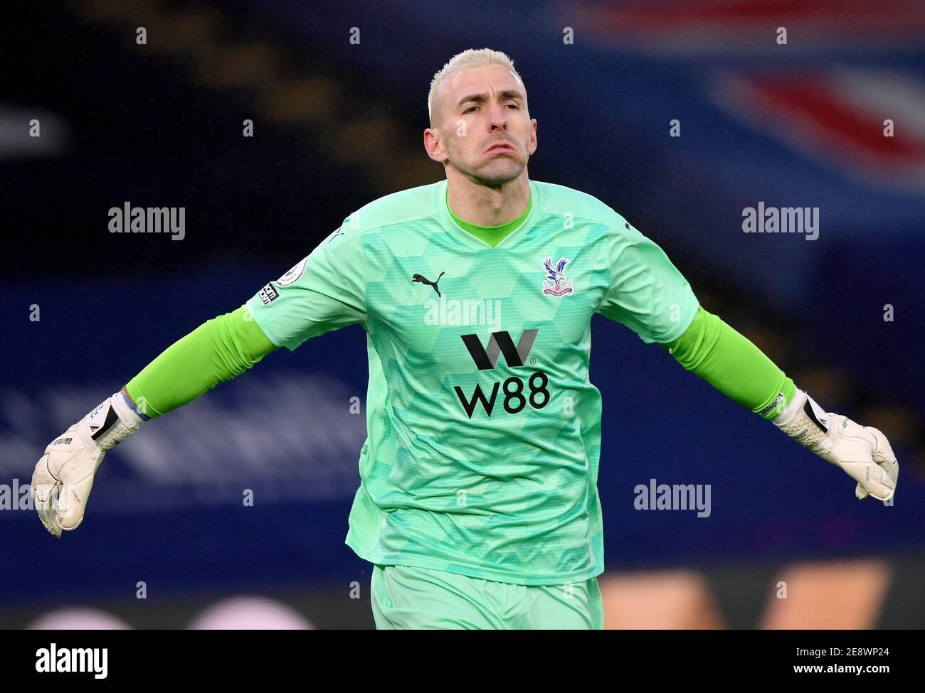 Crystal Palace goalkeeper Vicente Guaita during the Premier League ...