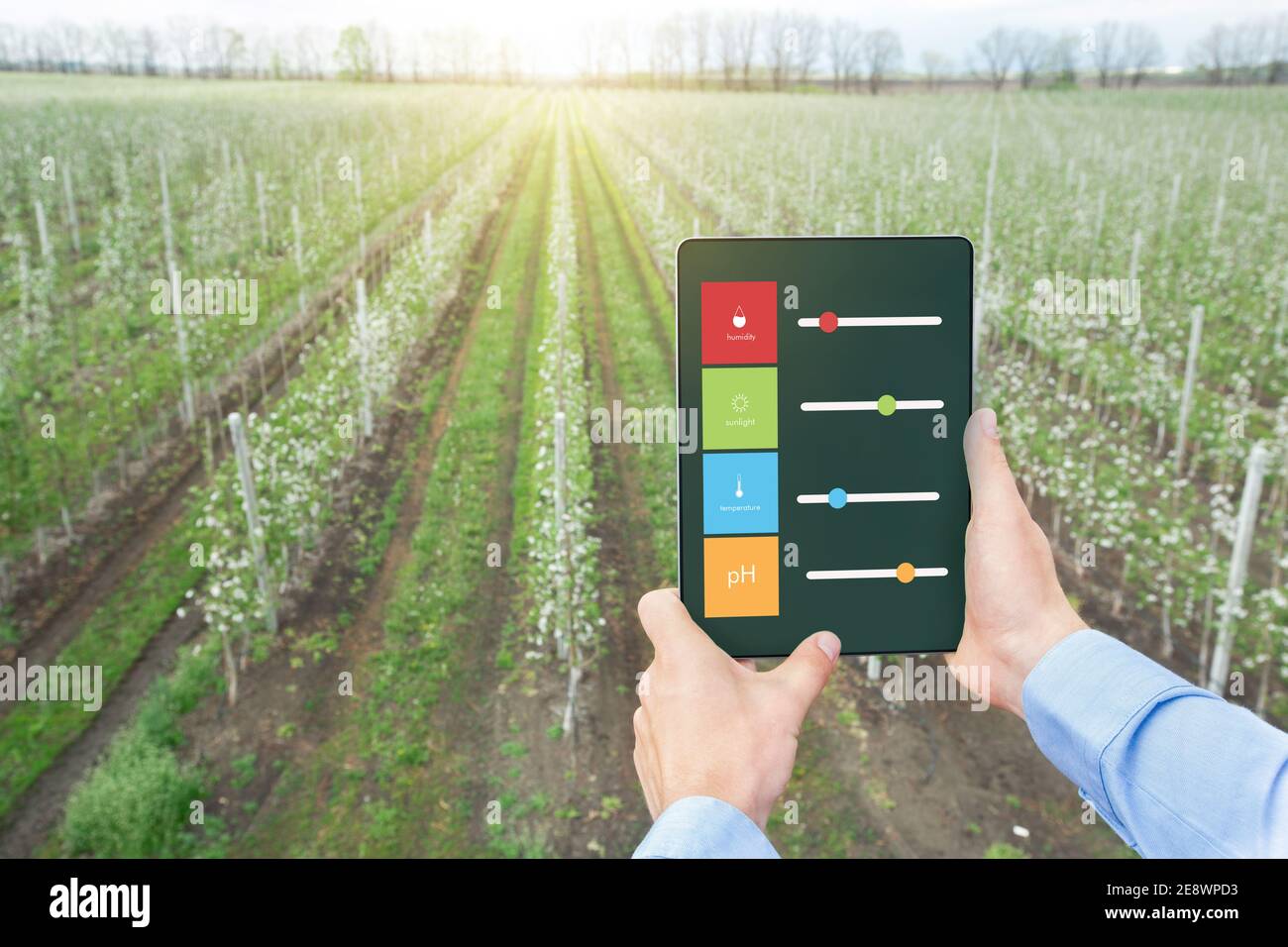 Smart garden. Farmer using touch pad app and internet of things in ...