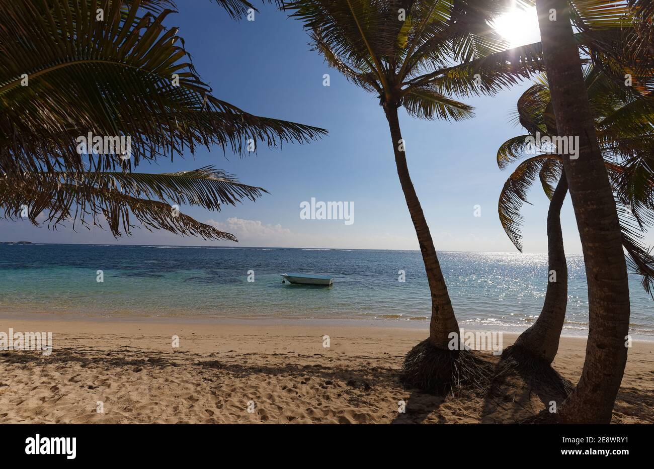The picturesque Caribbean beach , Martinique island, French West Indies ...